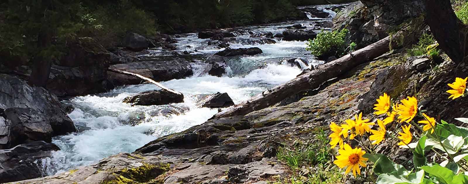 Despite Drought, Long-Term Outlook is Bright for Yakima Basin Fish and ...