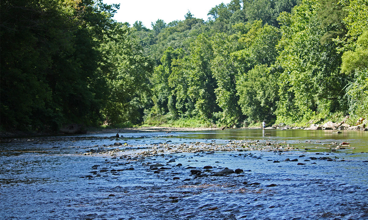 Patapsco River - American Rivers