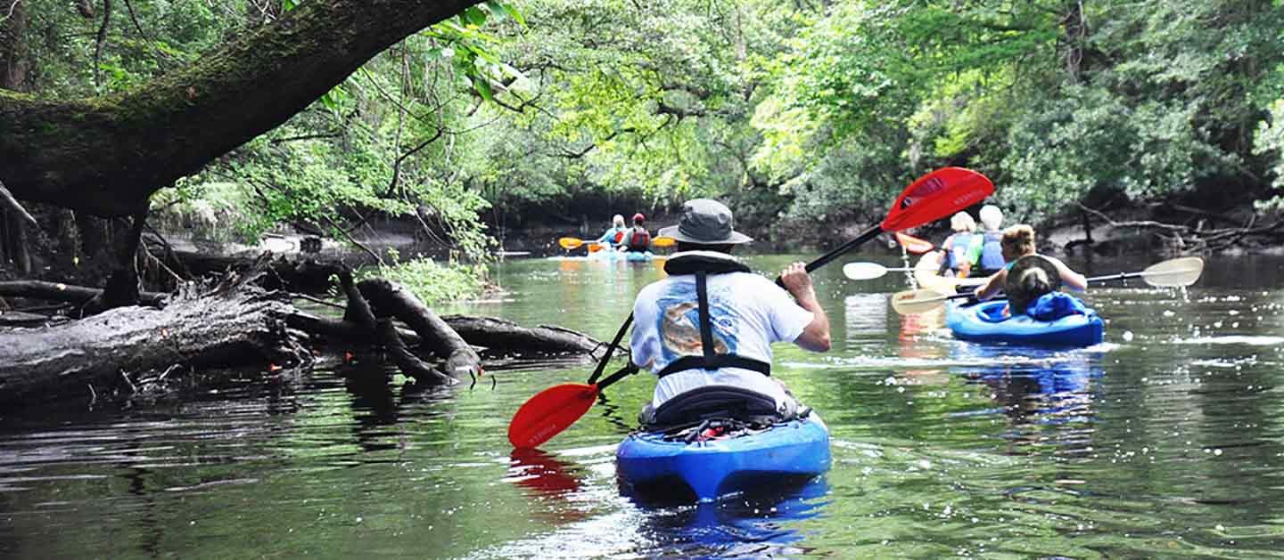 Ashley River Blue Trail: A Recreational Oasis - American Rivers