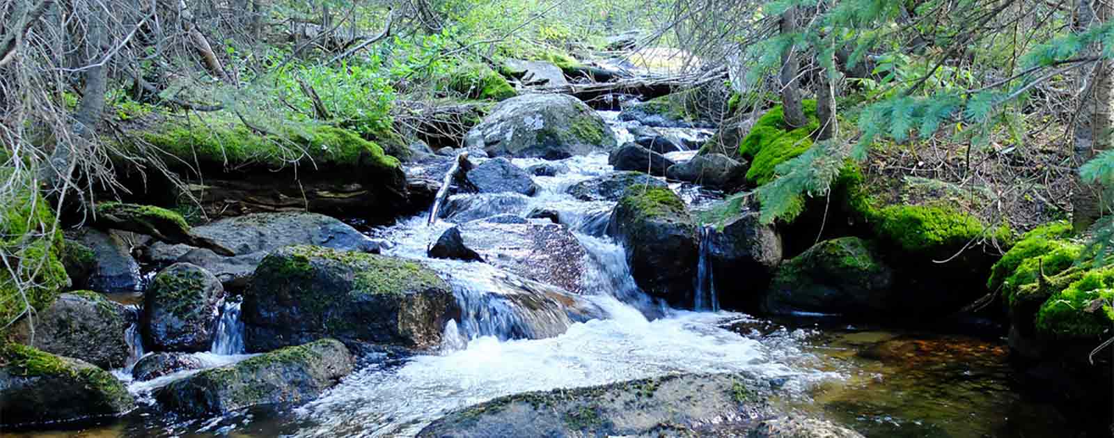 Historic Moment For Colorado’s Rivers