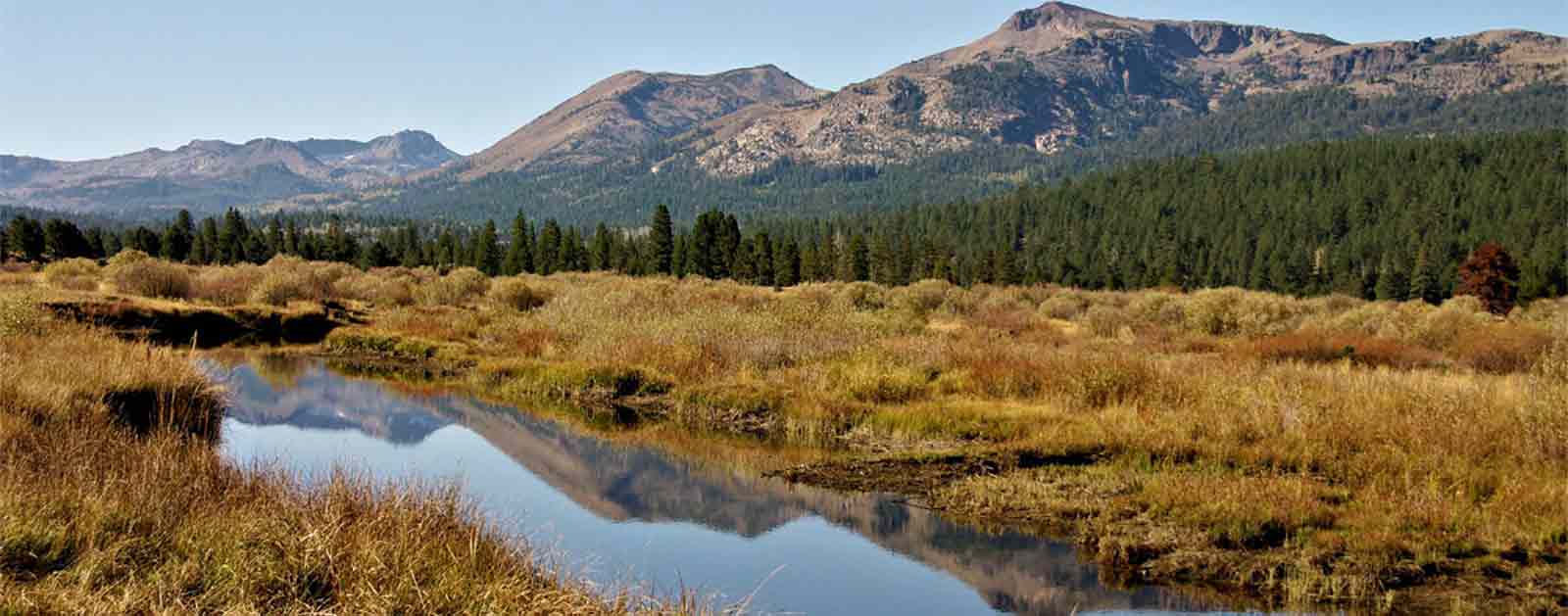 Hope Valley Meadow Restoration Project: Phase I