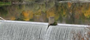 How Dams Damage Rivers