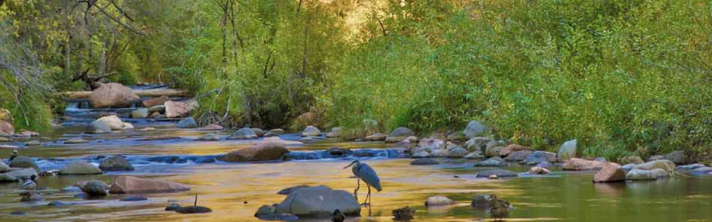 Verde River - American Rivers
