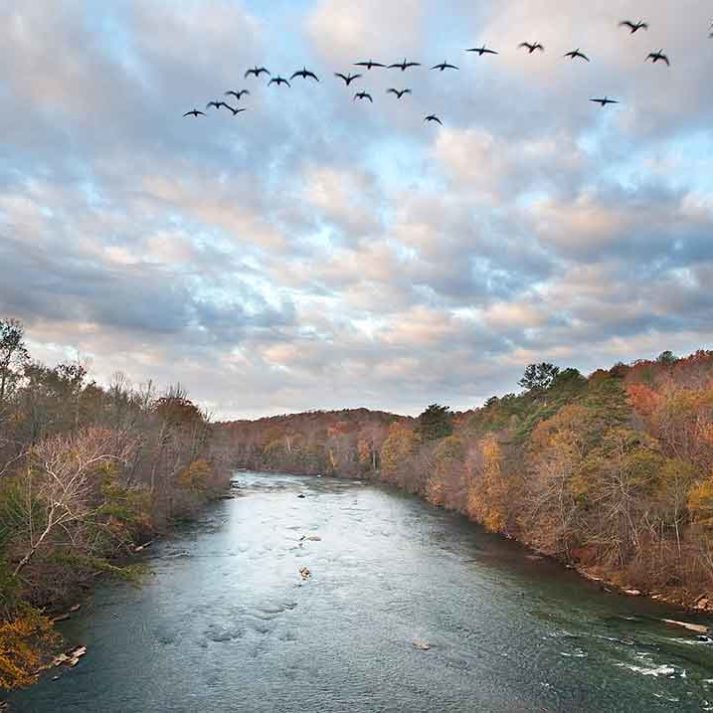 The Wild President - American Rivers