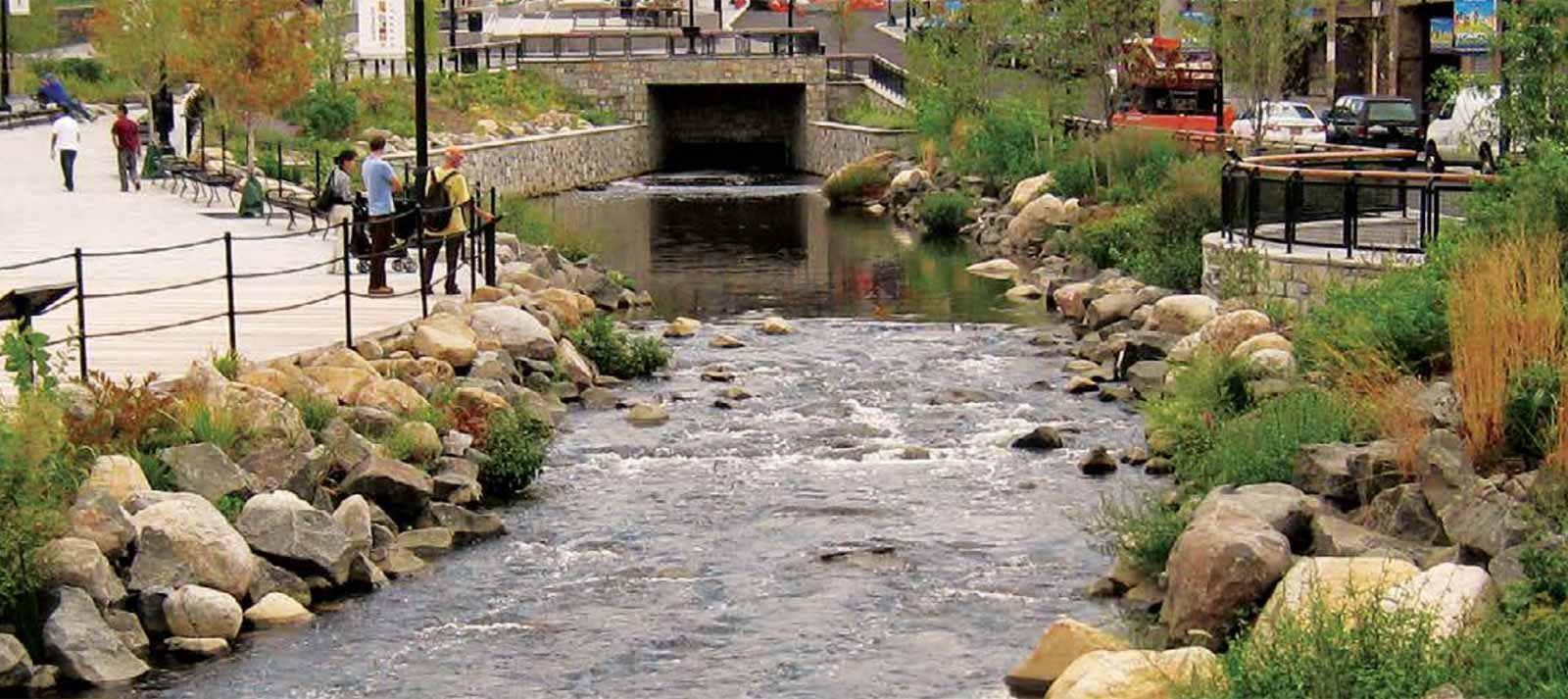 Daylighting Streams: Breathing Life Into Urban Streams And Communities