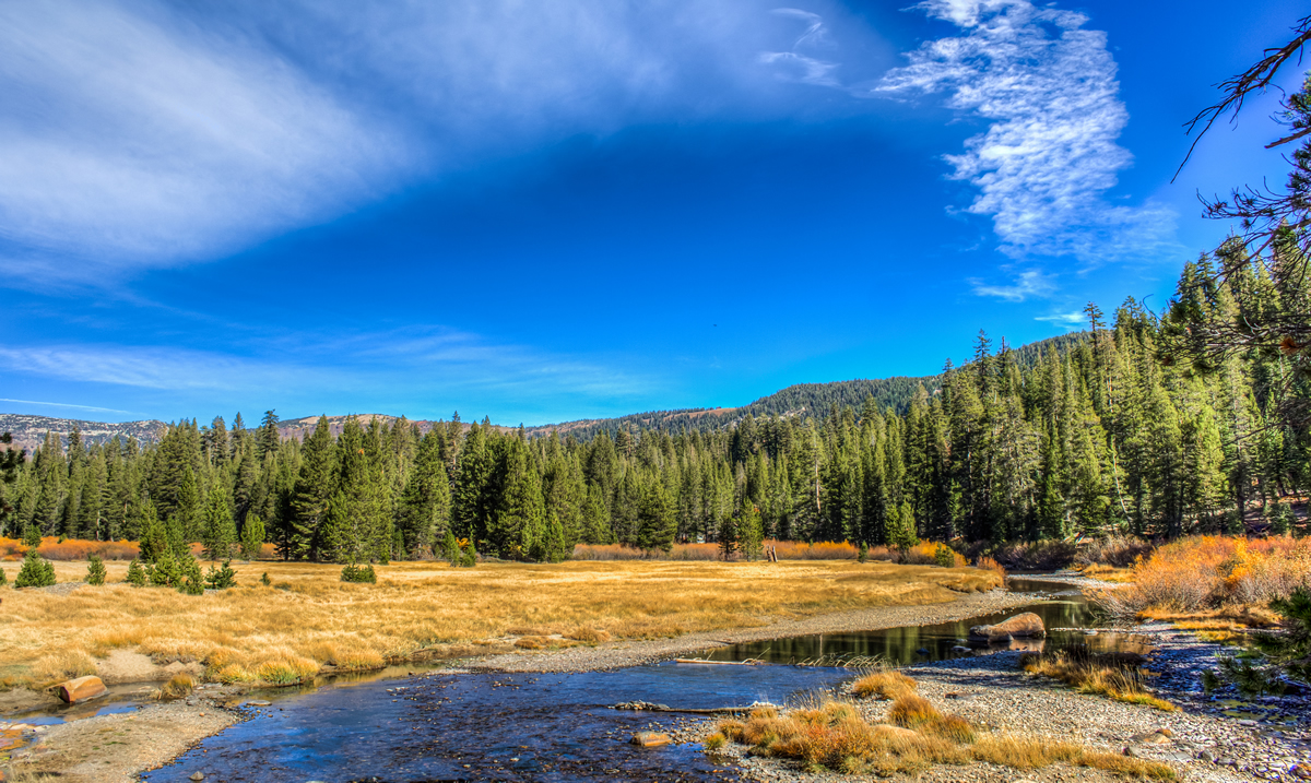 Sacramento and San Joaquin Rivers - American Rivers
