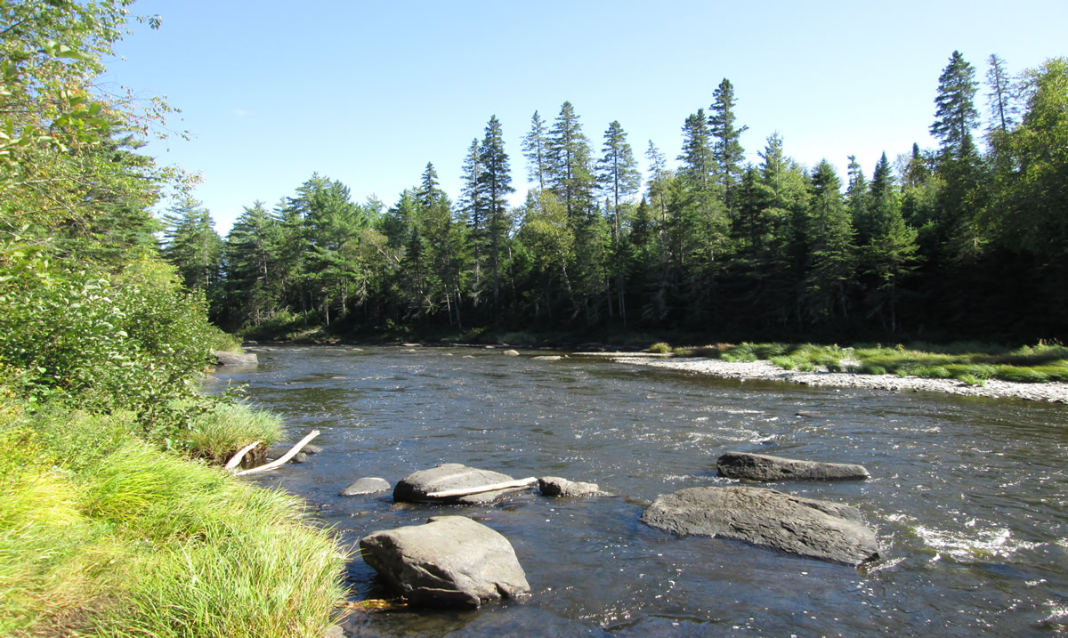 Penobscot River - American Rivers
