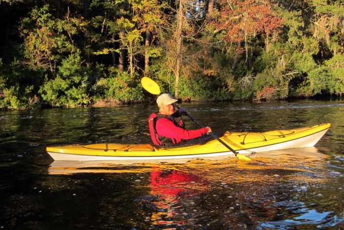 Ashley River - American Rivers