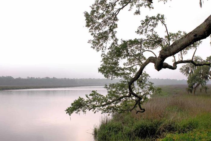 Ashley River - American Rivers