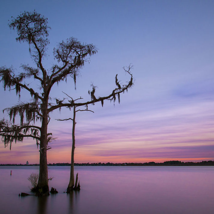 Neuse River: 2022 River of the Year - American Rivers