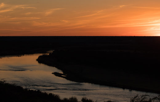 The Ancient Grazer of the Colville River - American Rivers