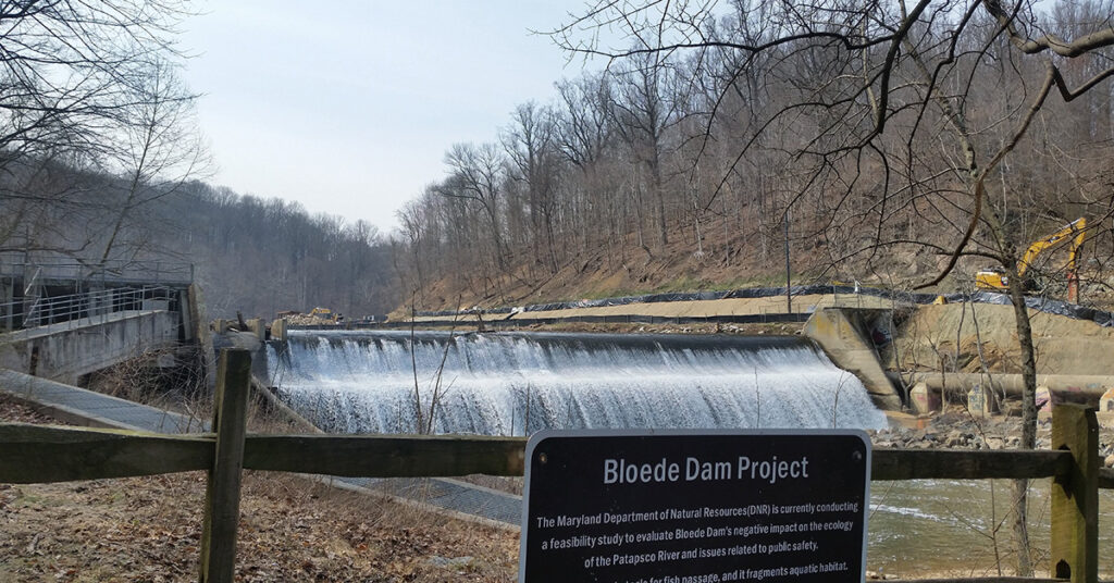 Removal of Bloede Dam: A Ray of Hope for River Herring - American Rivers
