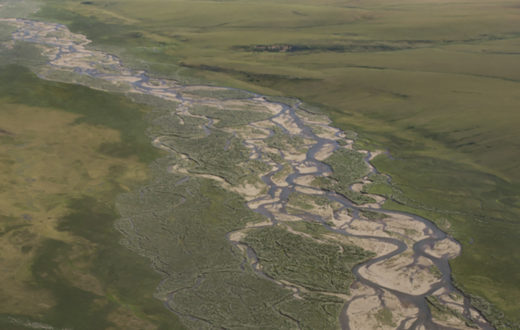 The Ancient Grazer of the Colville River - American Rivers