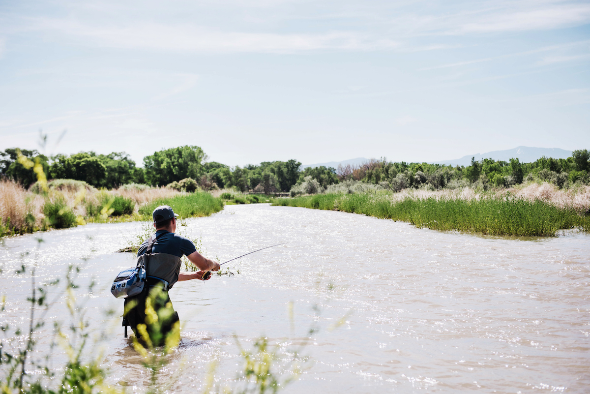 Introducing Ripple Effects: A new podcast highlighting community ...