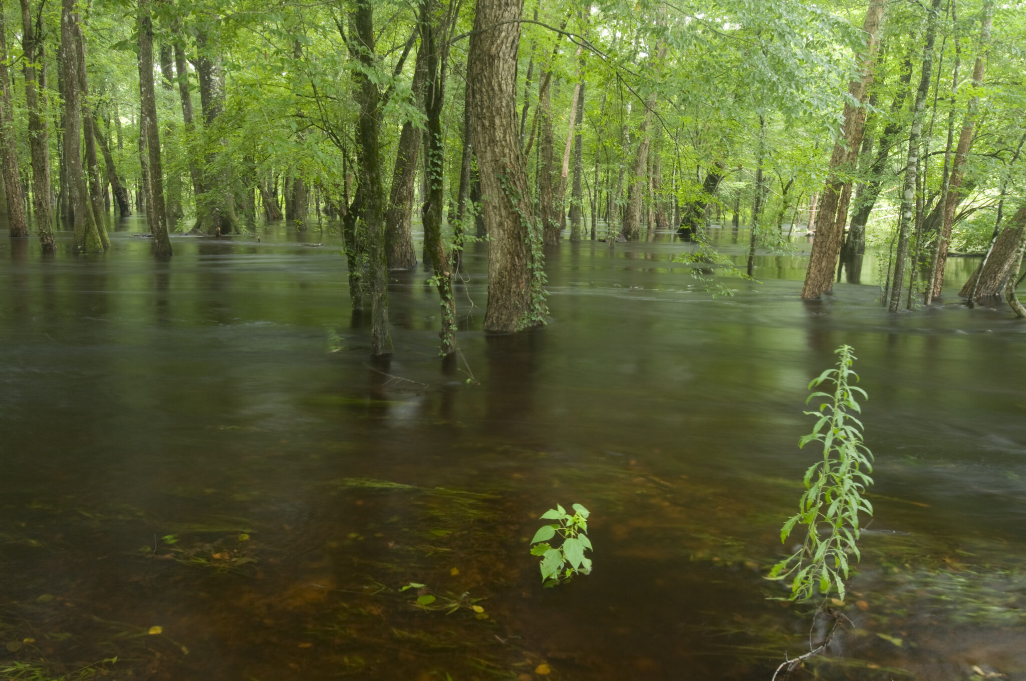 How the Clean Water Act could become a Dirty Water Rule