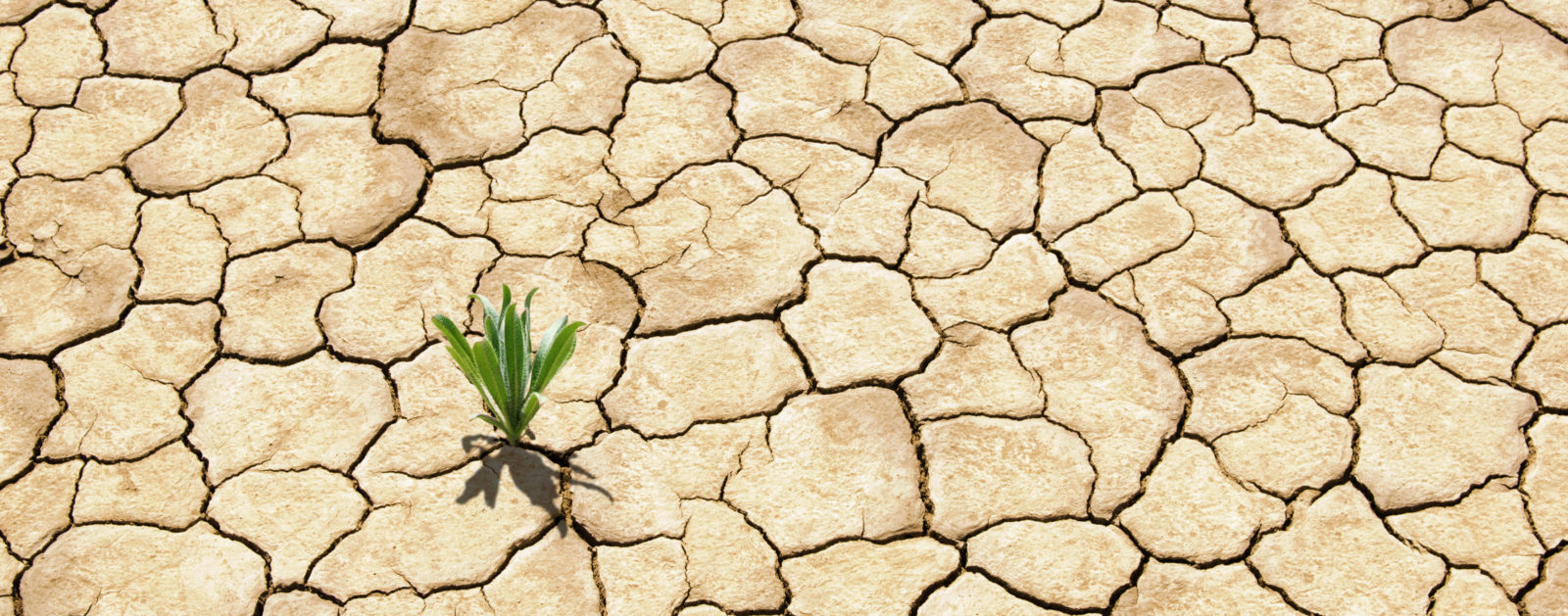 Rivers and Climate Change - American Rivers