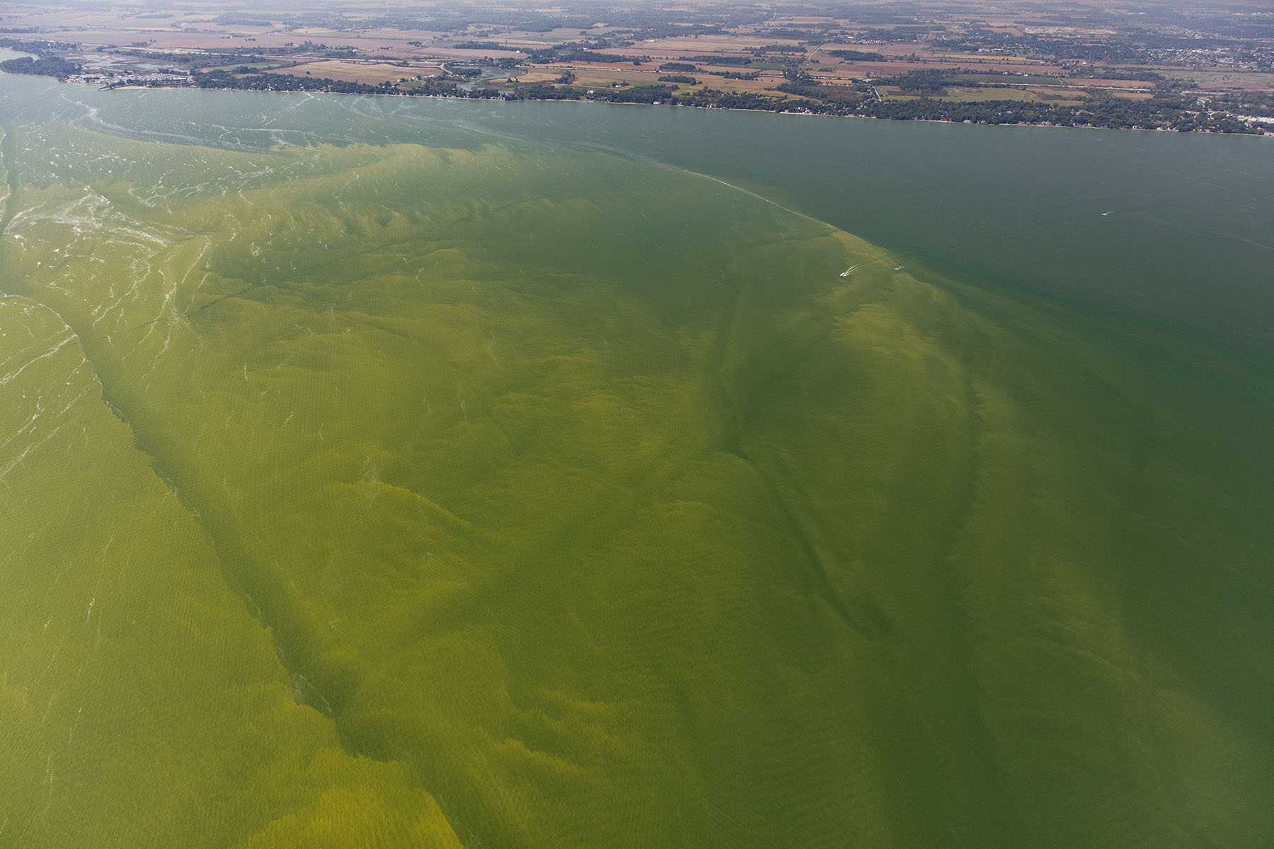 Summer is toxic algae season: what you need to know - American Rivers