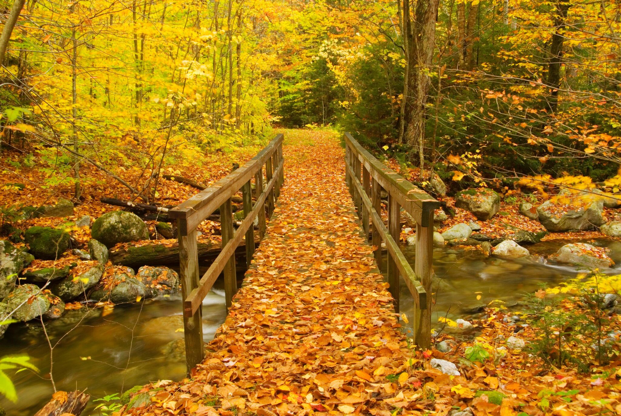 Our Top 5 River Destinations For Fall Foliage