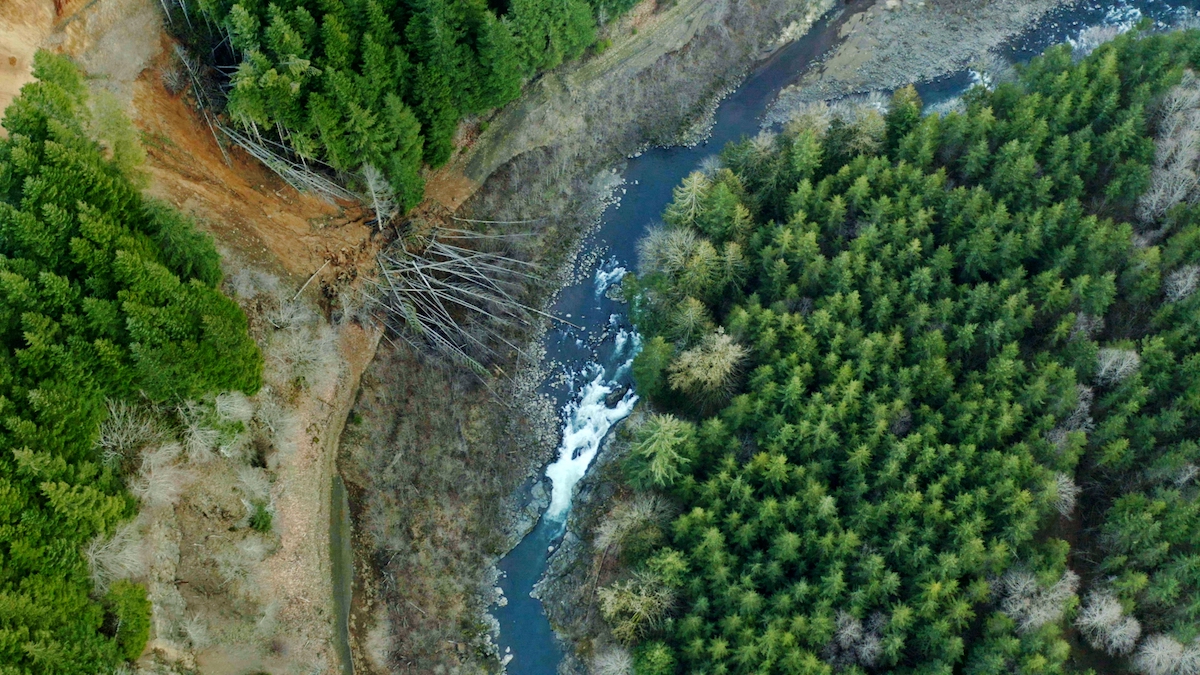 Help stop a dam on the Chehalis river