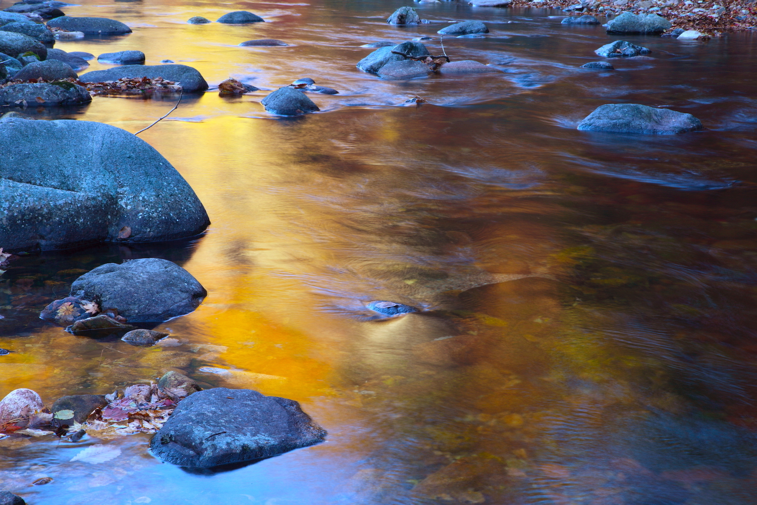 American Rivers | Rivers Connect Us