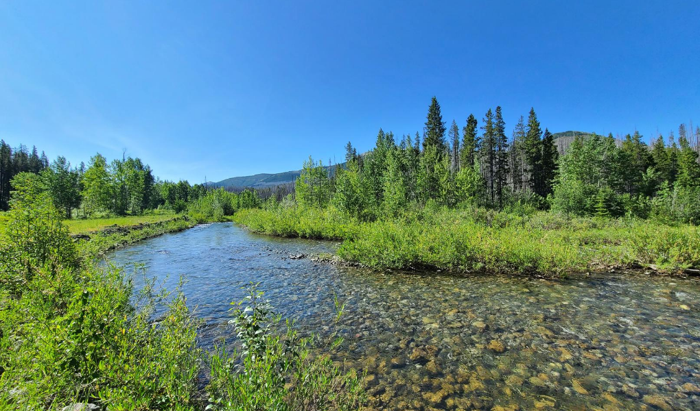 Stories from the Badger - Two Medicine: Sacred Headwaters Proposed for ...