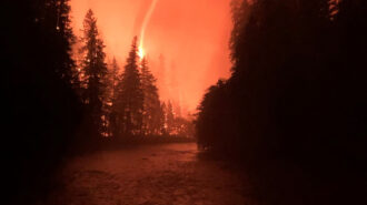 Fire and Water: Wildfire preparedness is important for people and ...