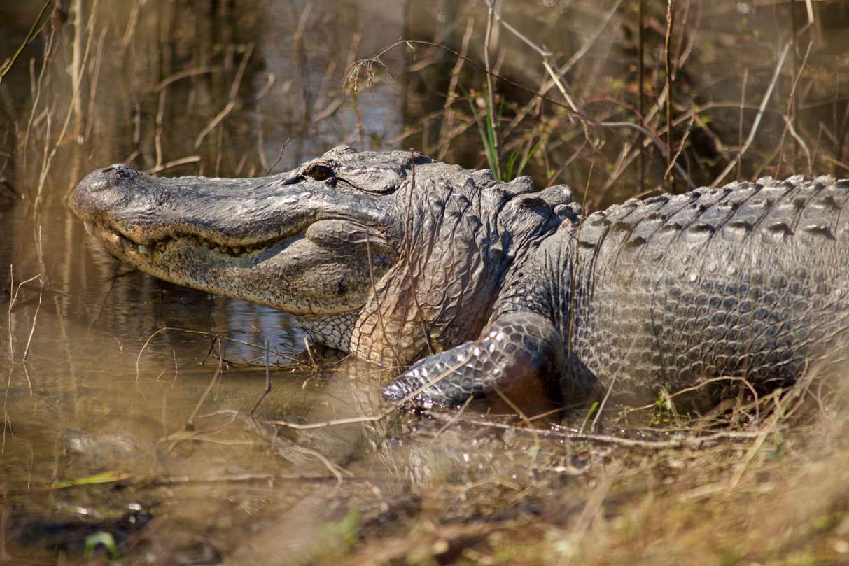 Trump Administration Goes After Clean Water Act