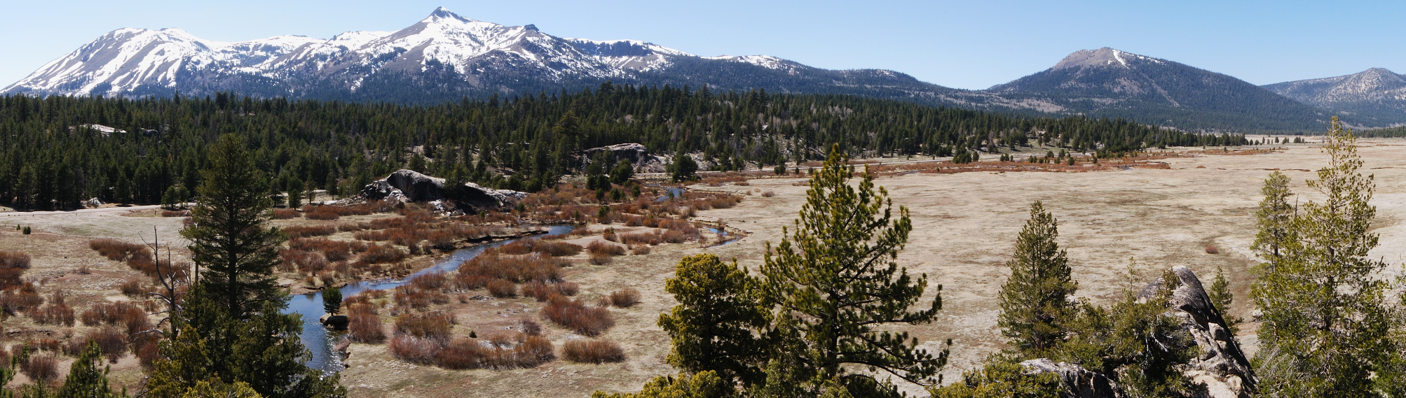 Mountain Meadow Restoration in California - American Rivers