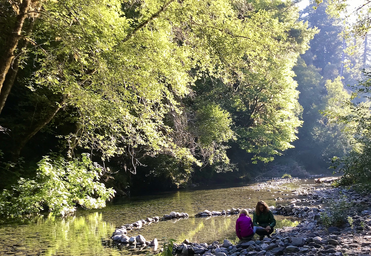 Everything you need to know about Oregon's River Democracy Act ...