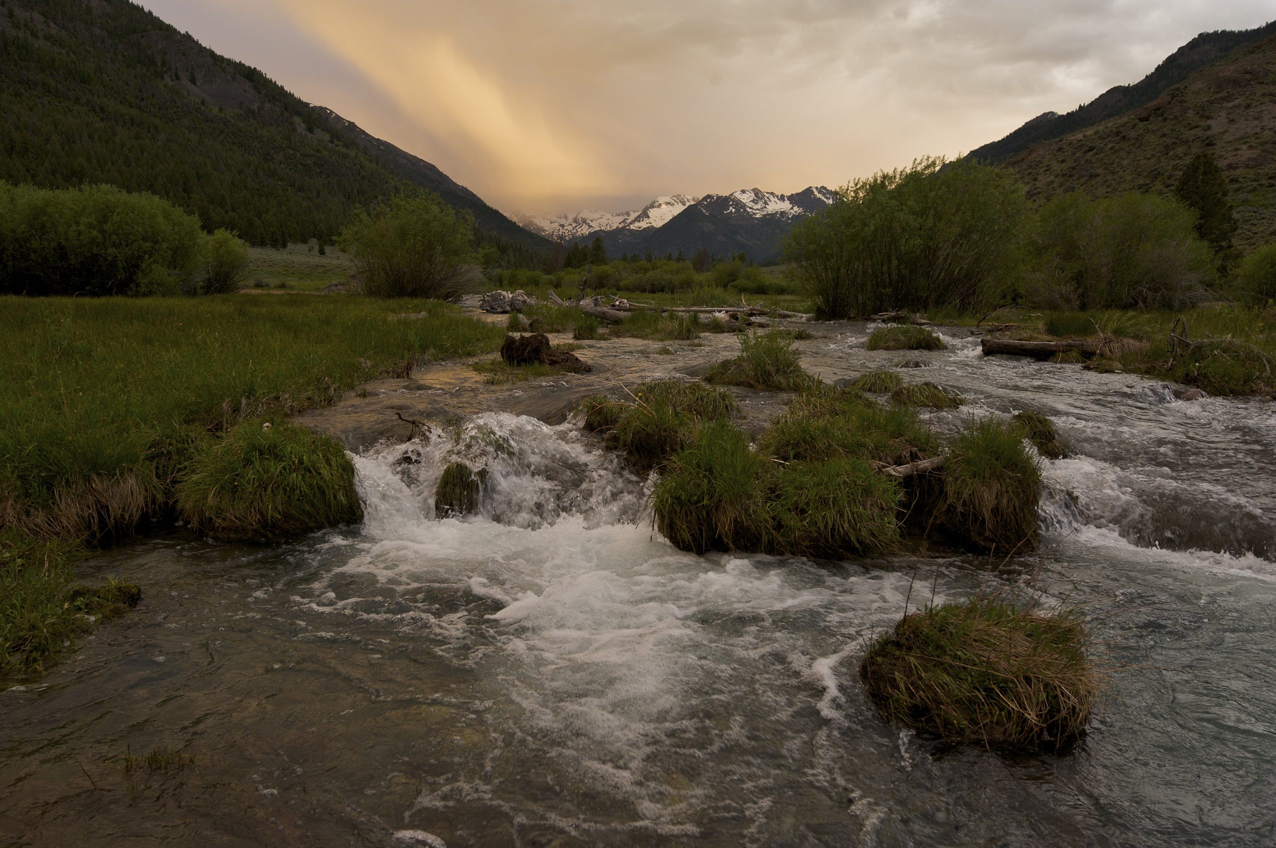 Snake River Vision: Climate Resilience - American Rivers