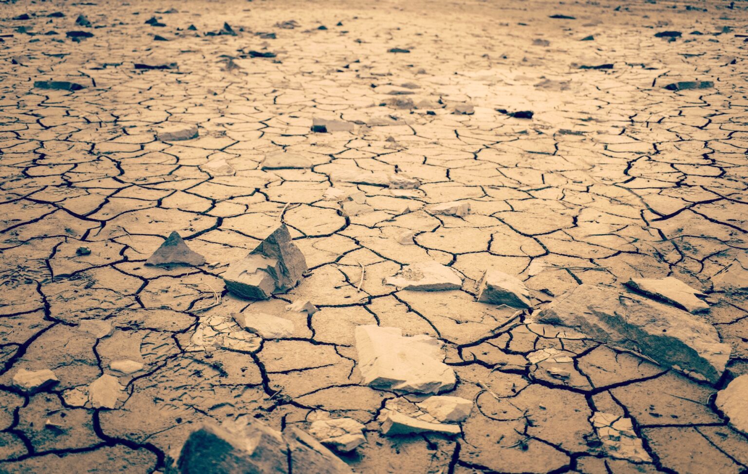 What climate change means for rivers