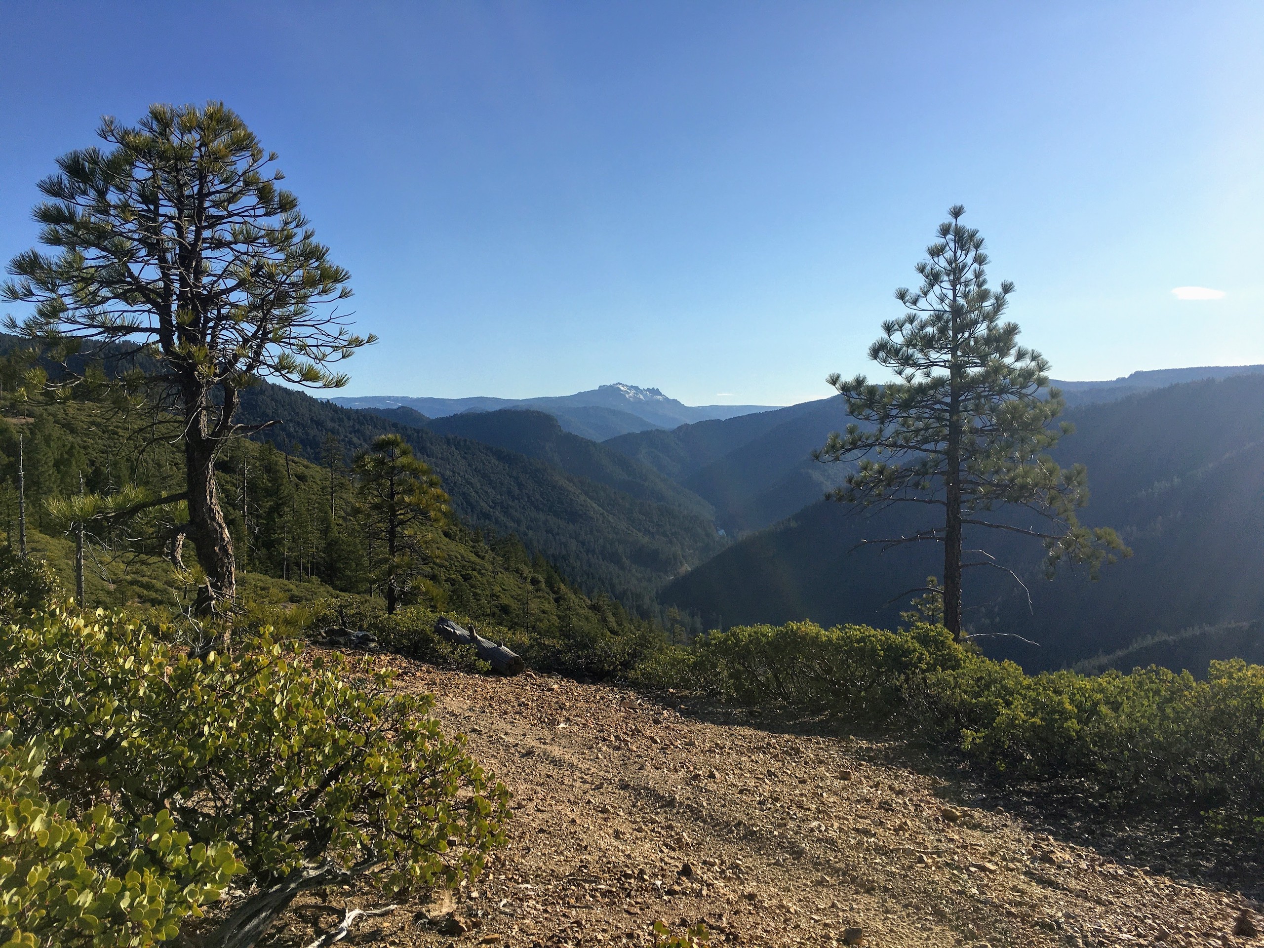 California’s Forest Roads and Rivers