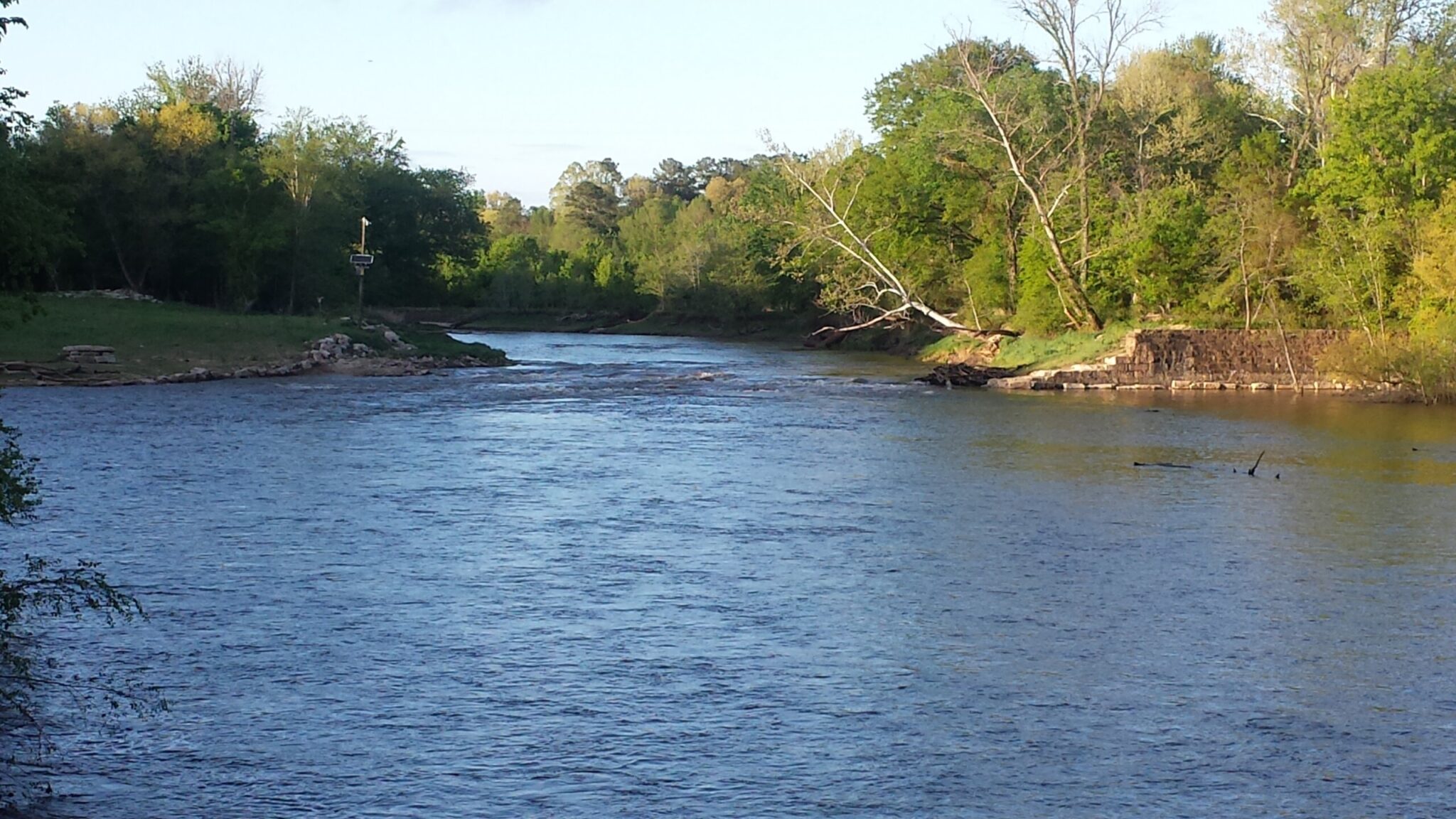 Neuse River: 2022 River of the Year