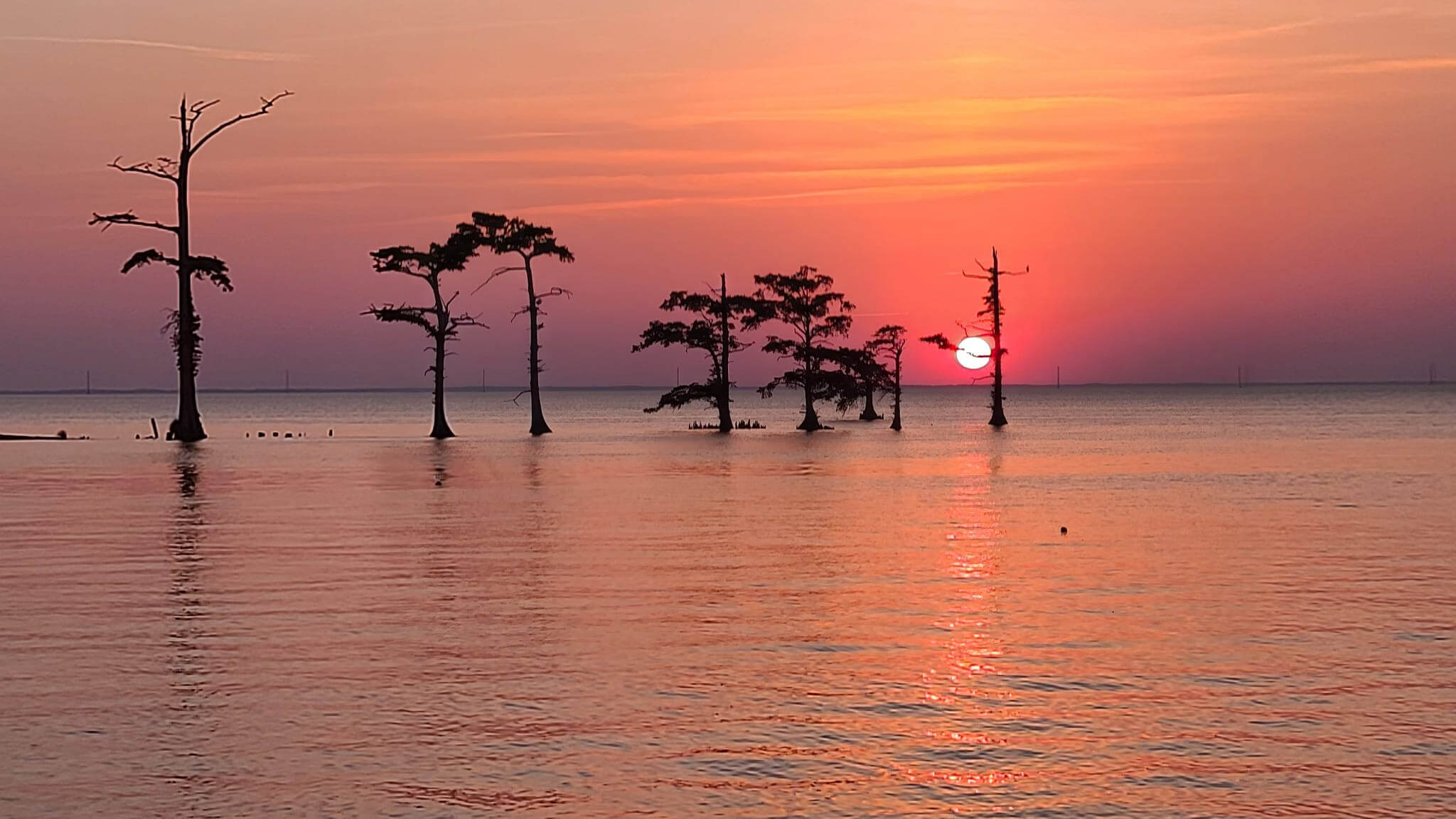 Neuse River: 2022 River of the Year