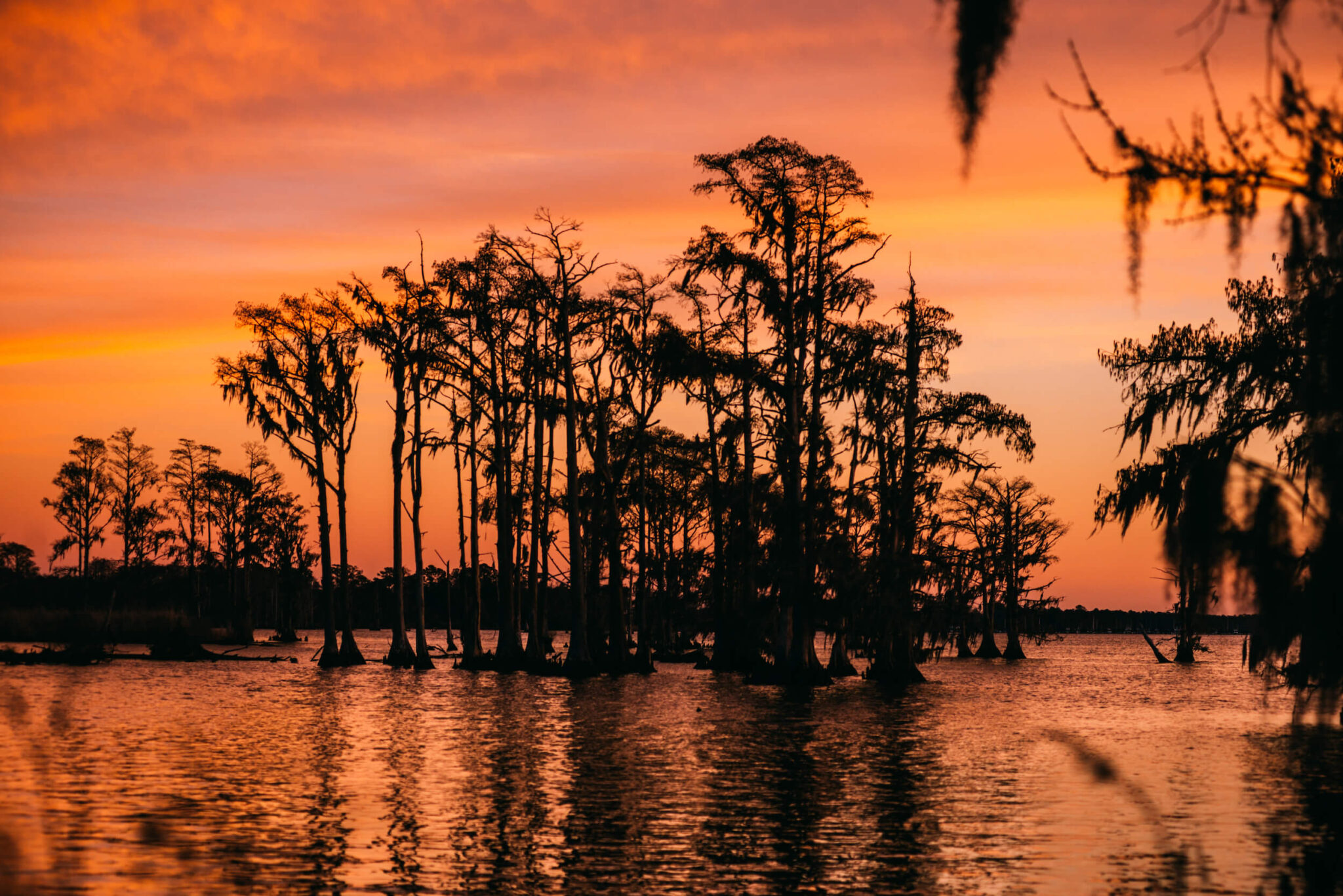 Sound Rivers: Keepers of the Neuse River