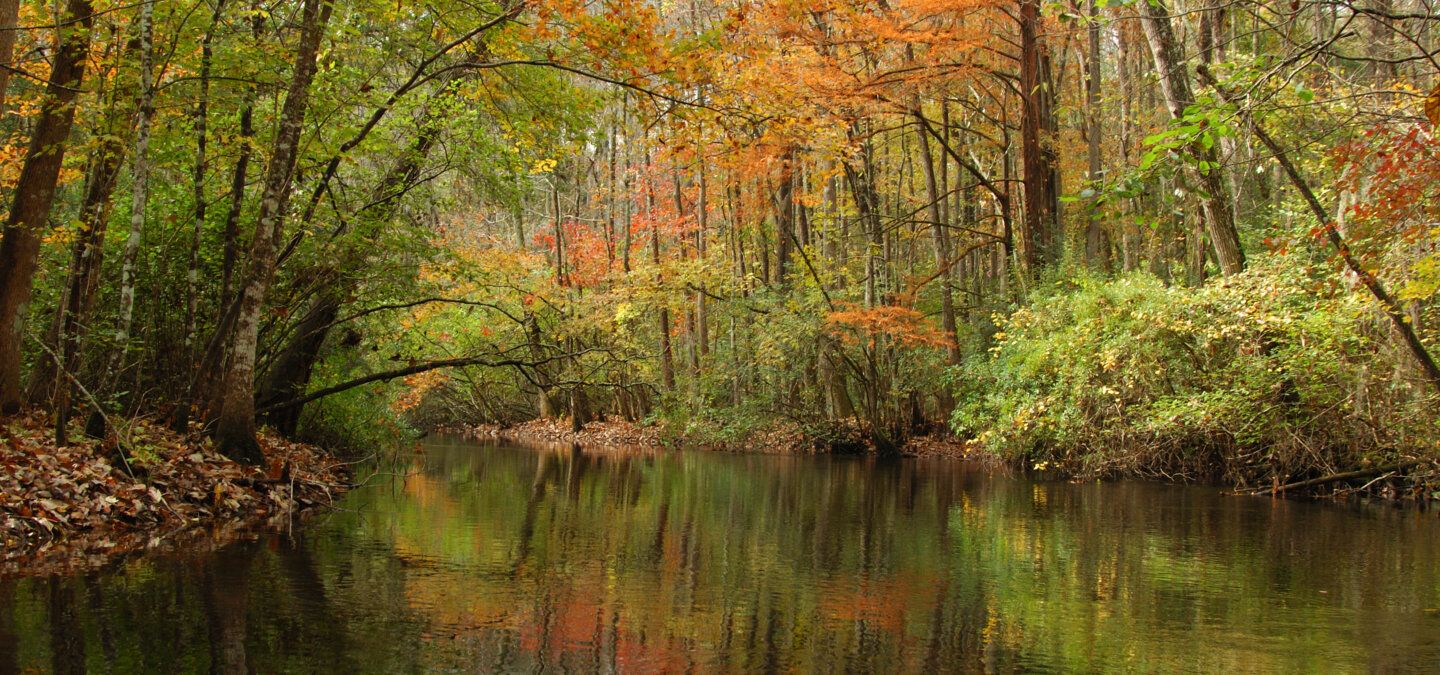 No, You Can't Suck Rivers Dry - American Rivers