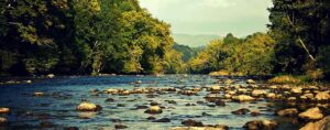 Holston River
