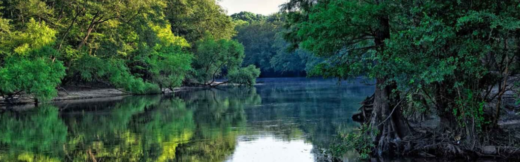 Edisto River