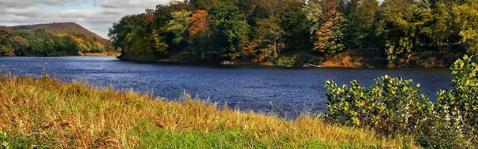 Why We Need to Restore Floodplains