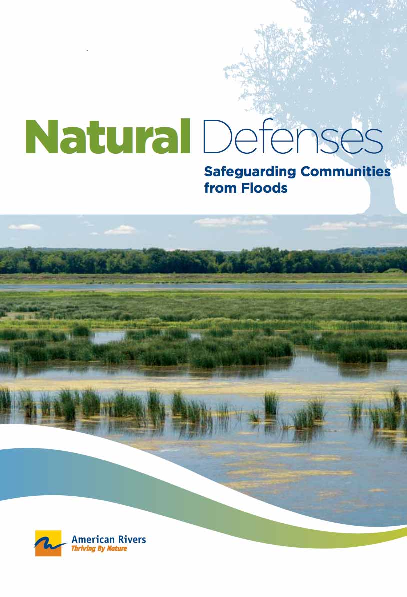 Natural Defenses: Safeguarding Communities From Floods