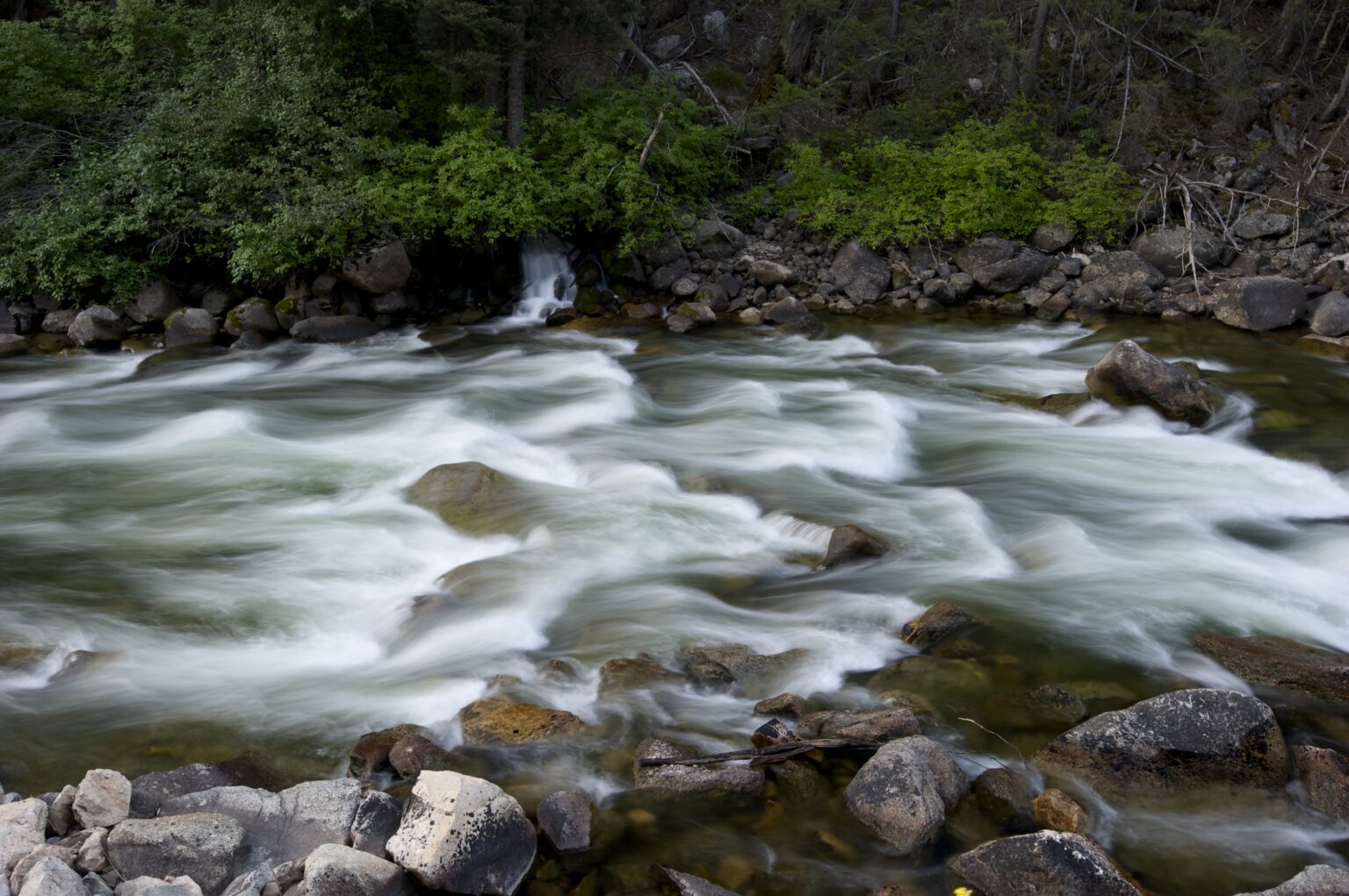 Southeast – American Rivers