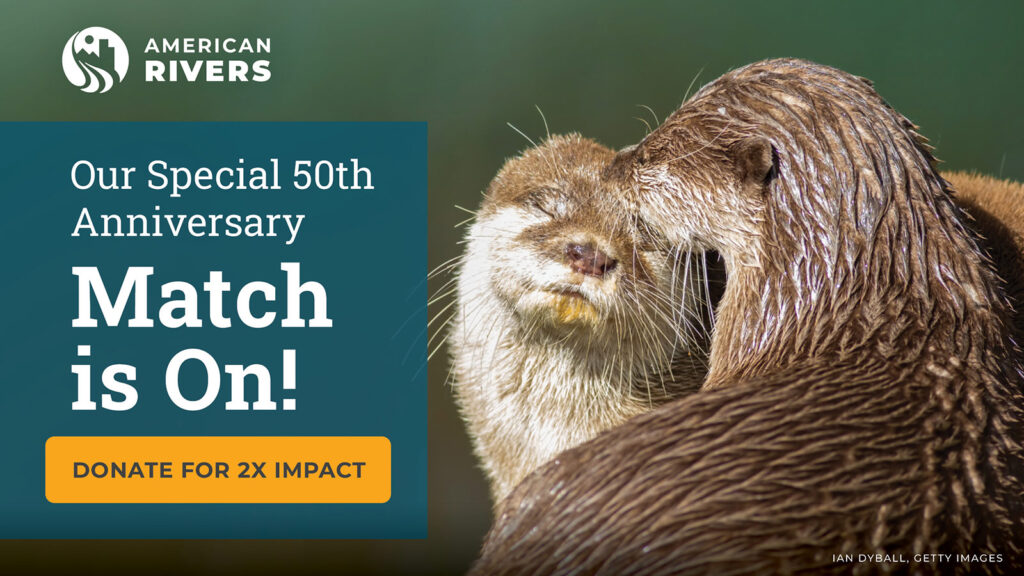 Life Depends on Rivers