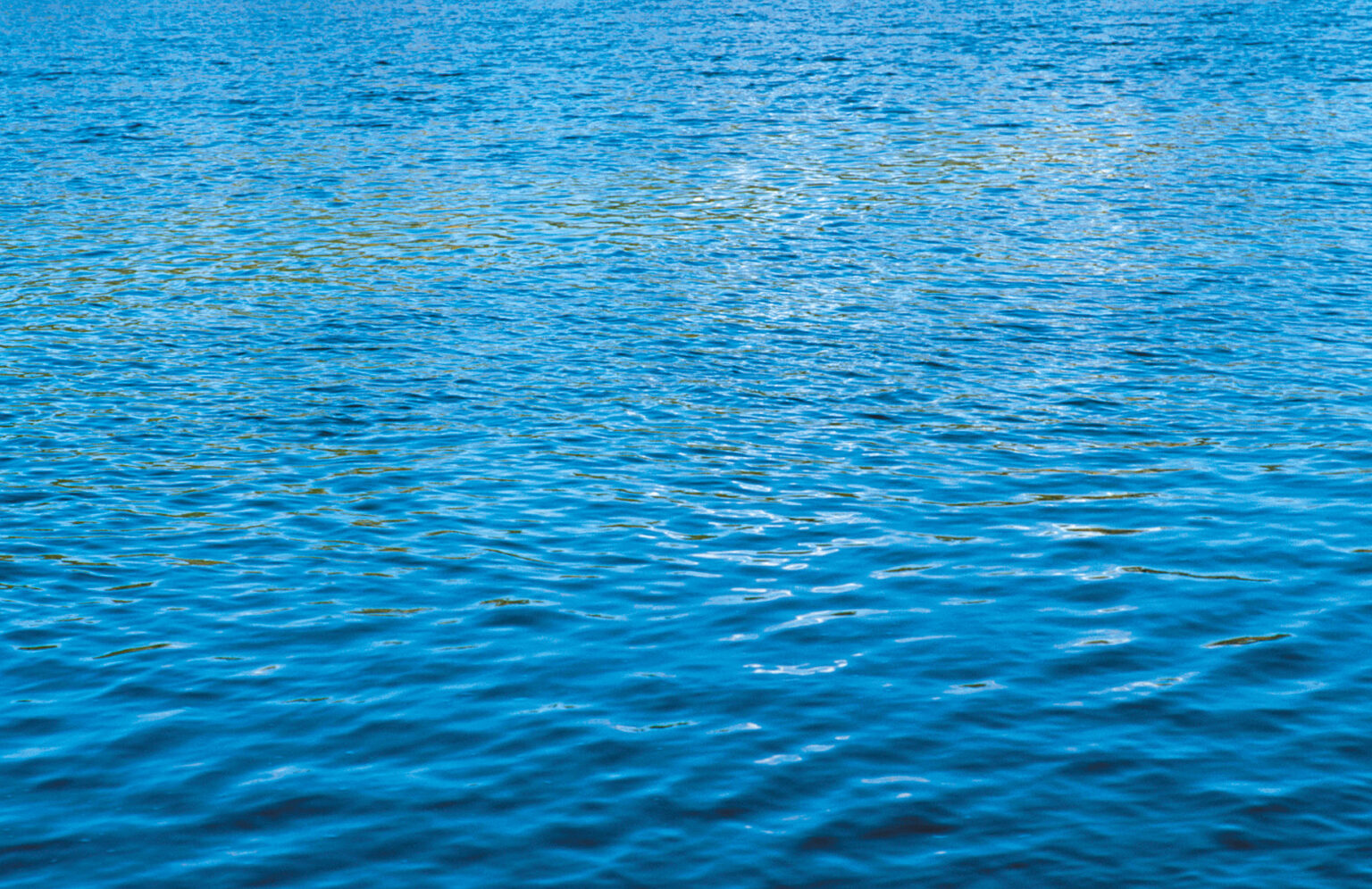 Dollars and Dams: Building SAfety into California's Future
