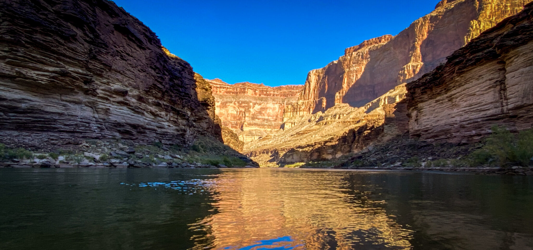 The Grand Canyon's Small Mouth Bass Problem