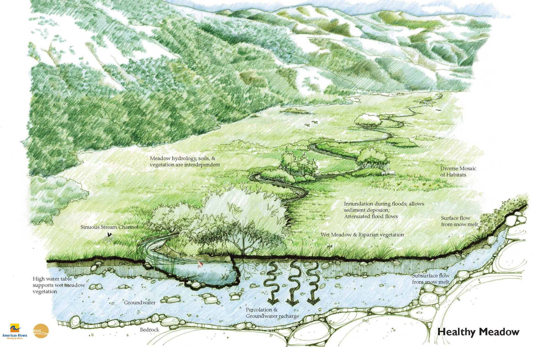 Riverscape Restoration Network