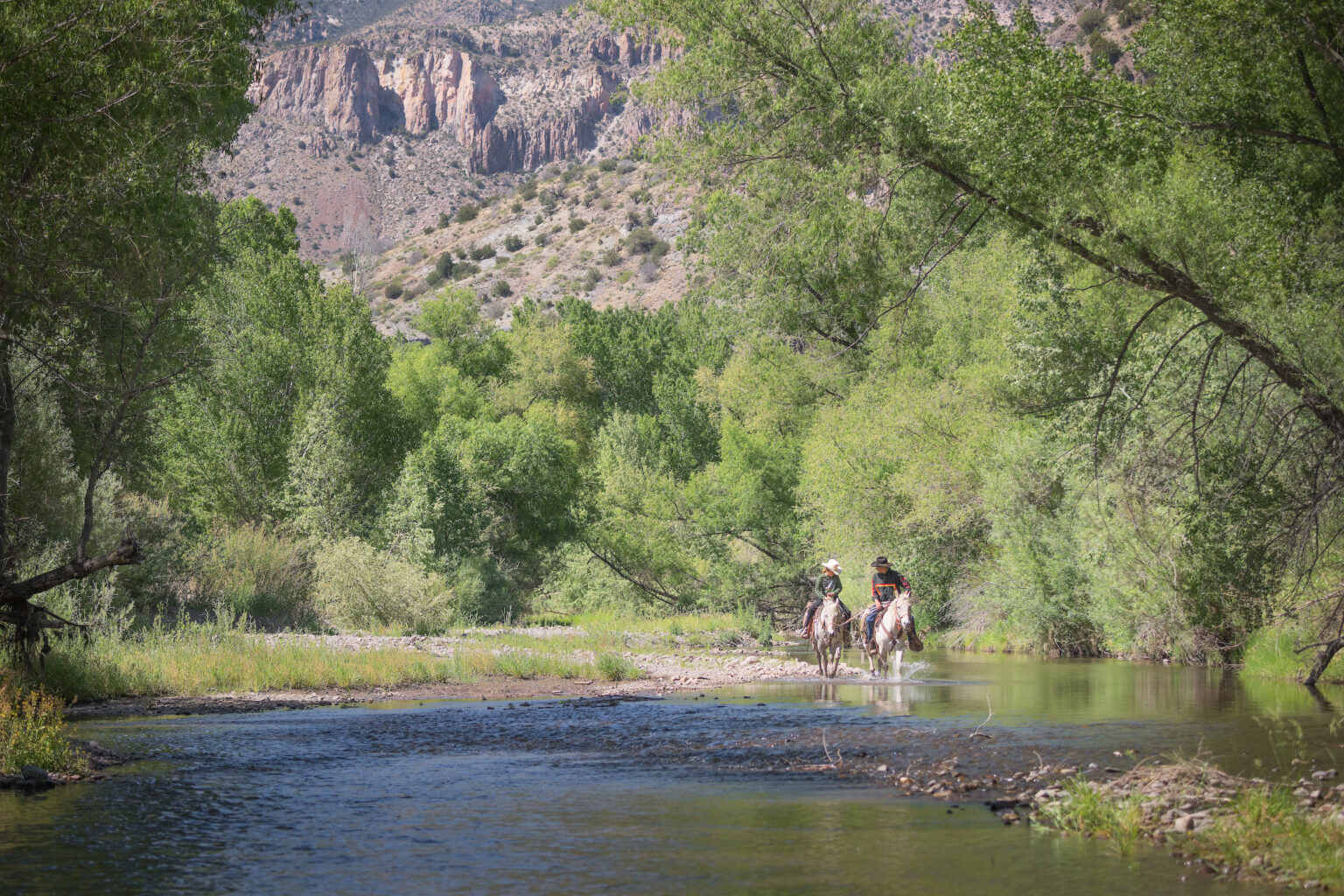 A History of Success for America’s Most Endangered Rivers®