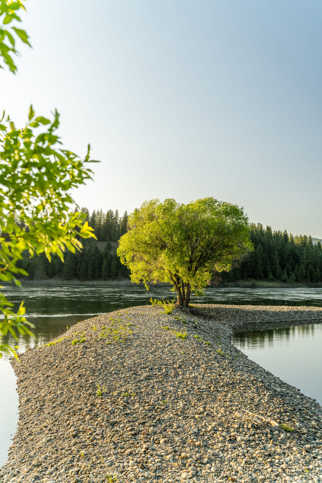 A River Worth Saving