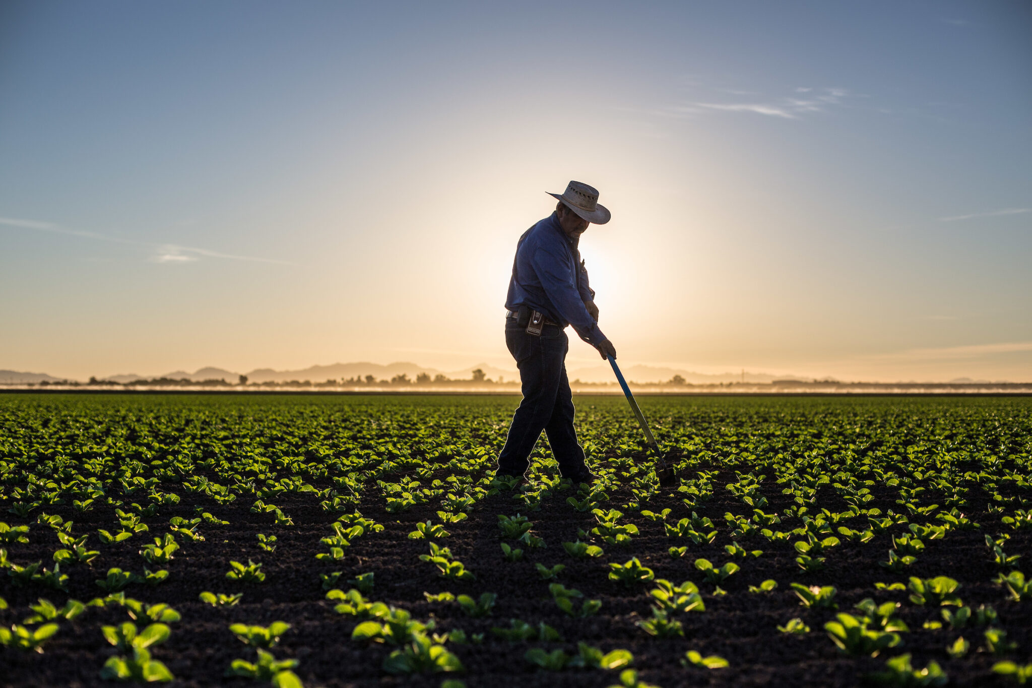 Eight Ways to Write a River-Friendly Farm Bill