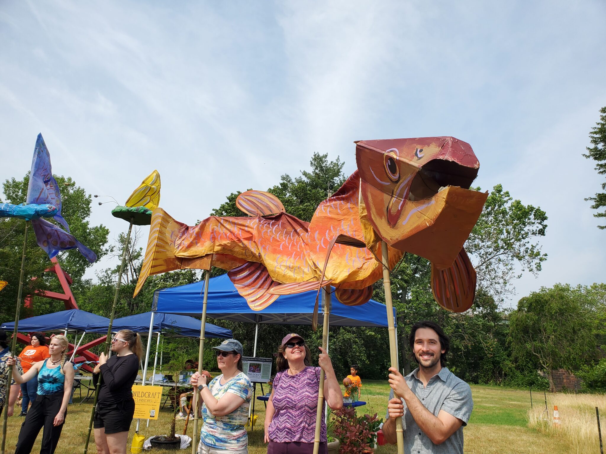 The Art and Fun of Dam Removal: Engagement in Reading