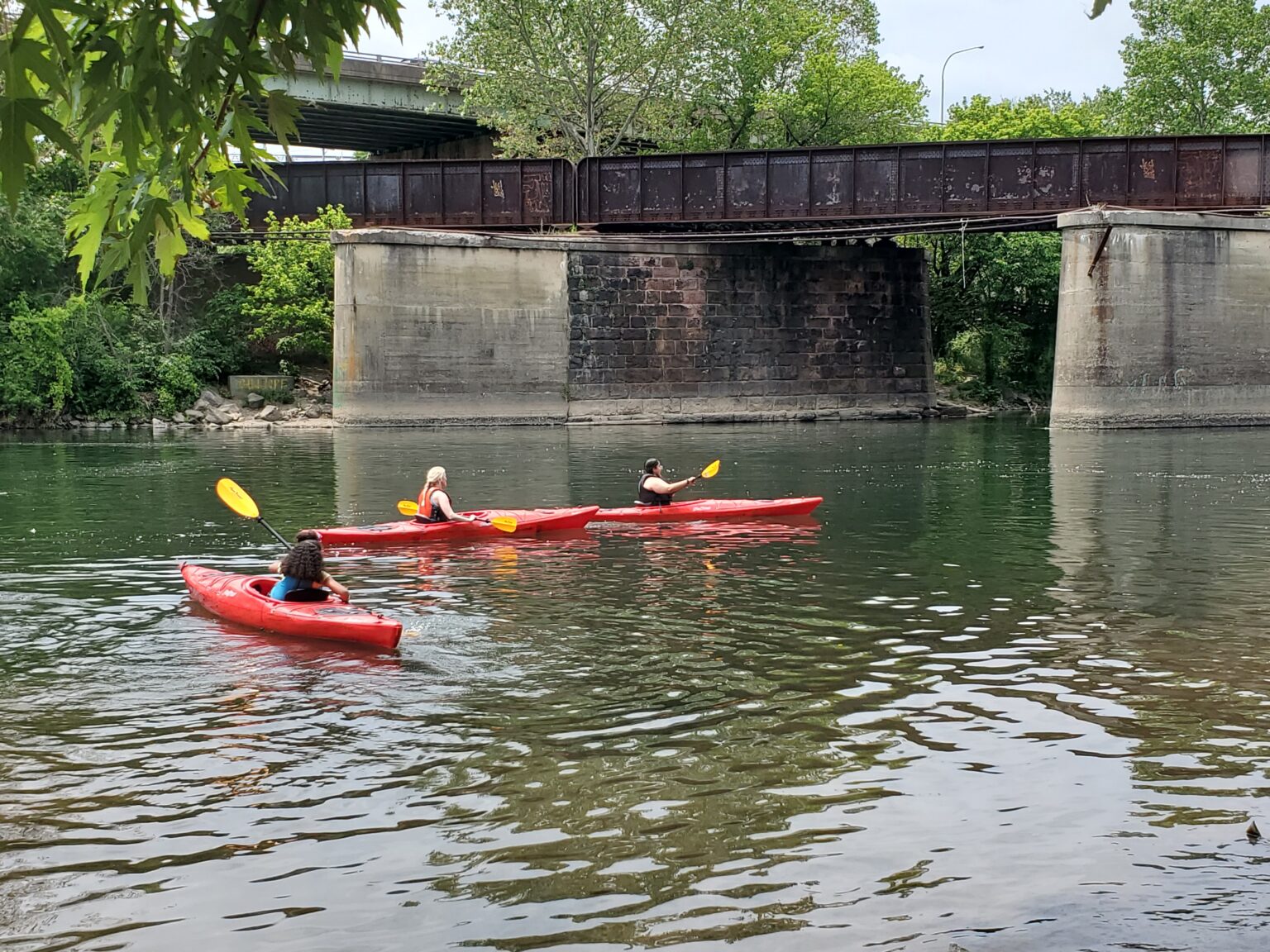 The Art and Fun of Dam Removal: Engagement in Reading